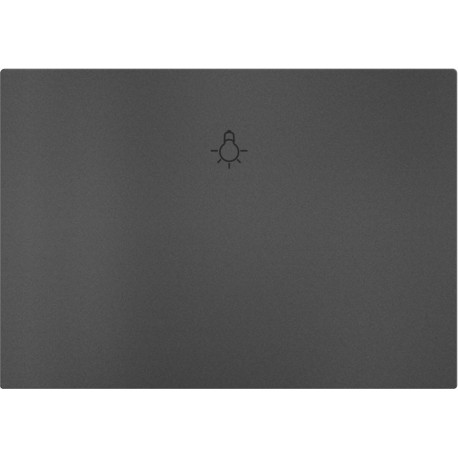 21717-GS TECLA PULSADOR LUZ